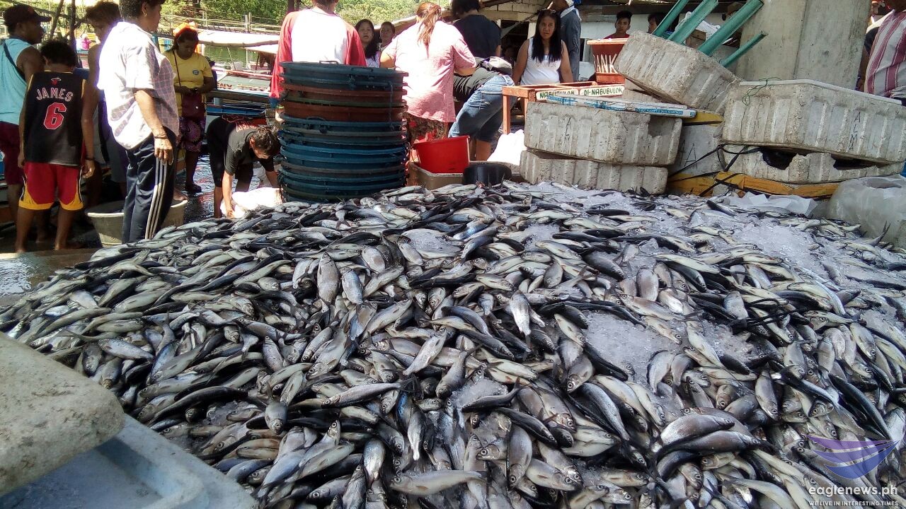Presyo ng bangus sa Anda, Pangasinan bumagsak sa P15 kada kilo – Eagle News