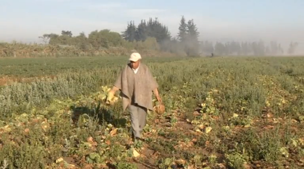 El Niño brings intense drought to parts of Colombia