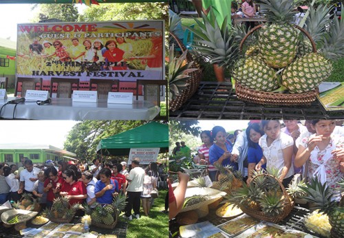 2nd Pineapple Harvest Festival, isinagawa sa bayan ng Daet sa lalawigan ...