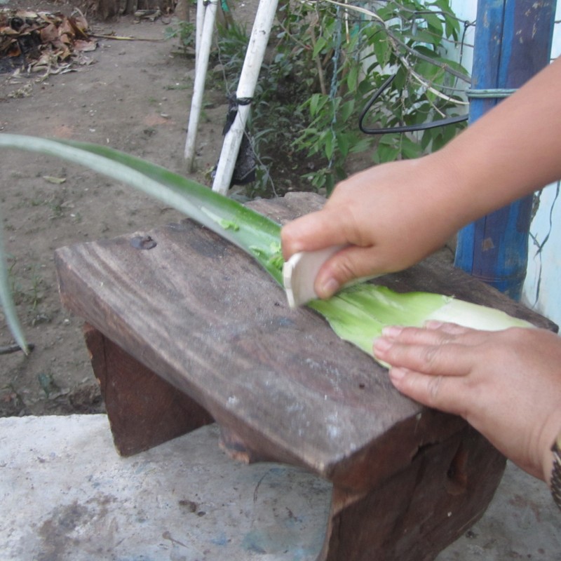 Aklan, Piña Fiber Capital of the Philippines