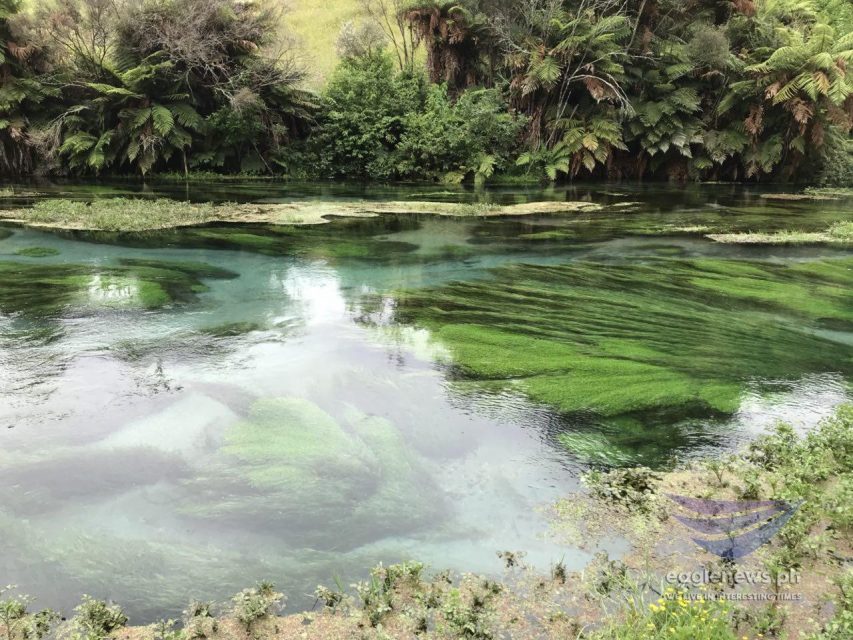 #EBCphotography: Clear blue river in New Zealand