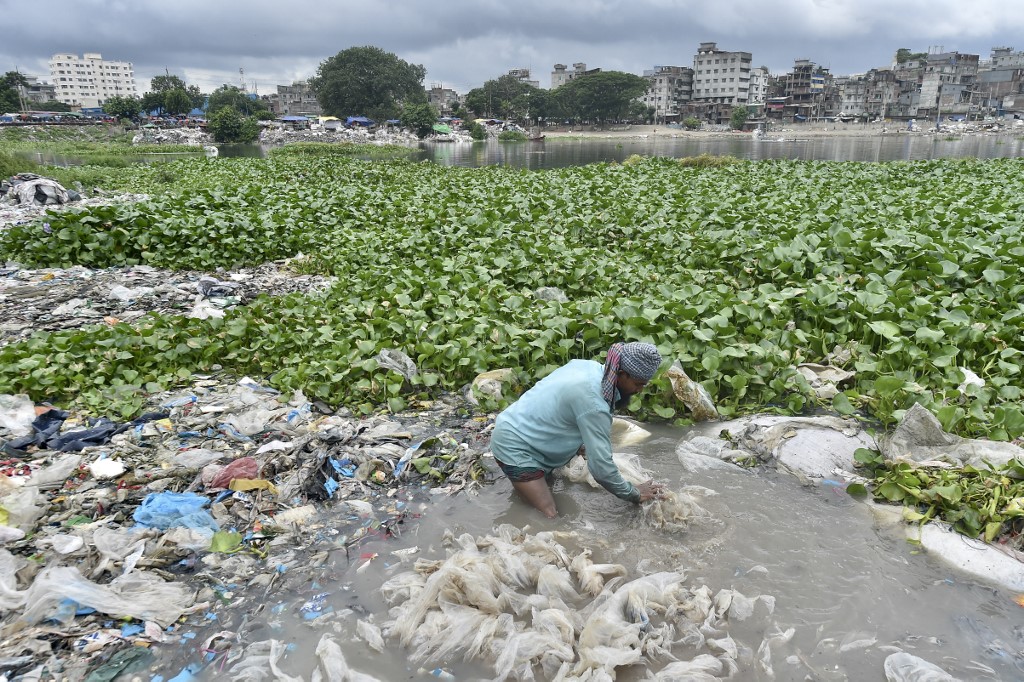 Plastic threatens migratory species in Asia-Pacific: UN Plastic threatens migratory species in Asia-Pacific: UN