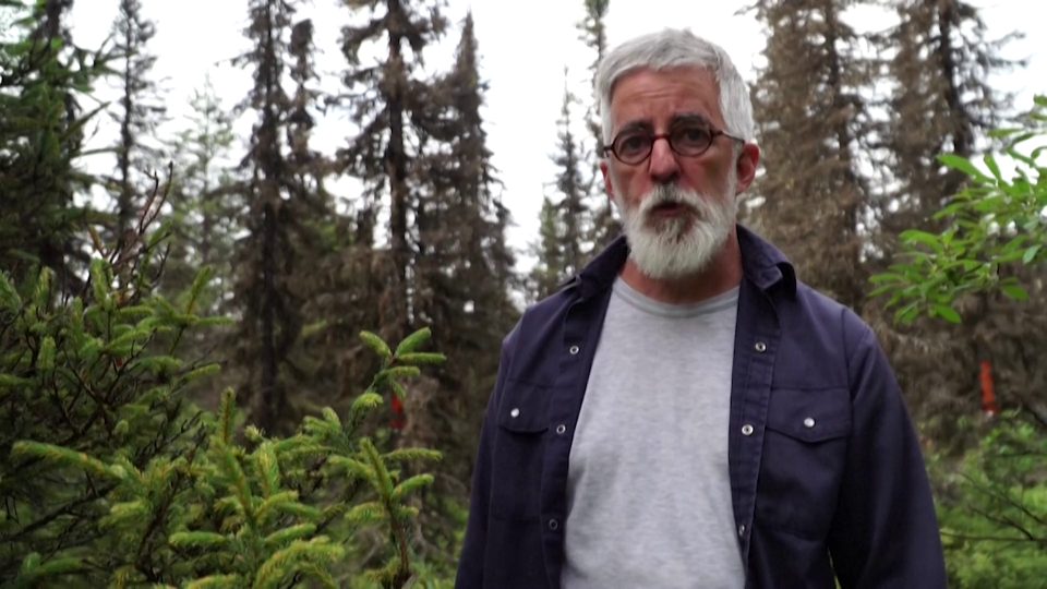 Subarctic boreal forest, vital for the planet, is at risk