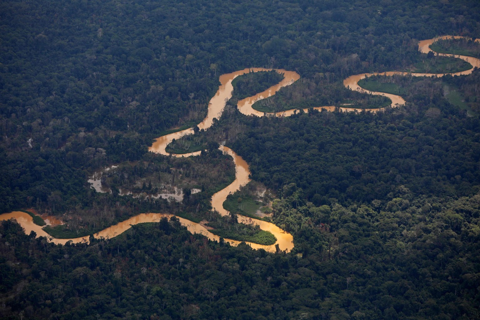 Amazon rainforest may face tipping point by 2050: study