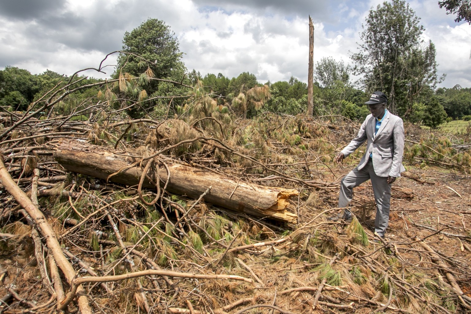 Relief and despair: repeal of logging ban divides Kenya