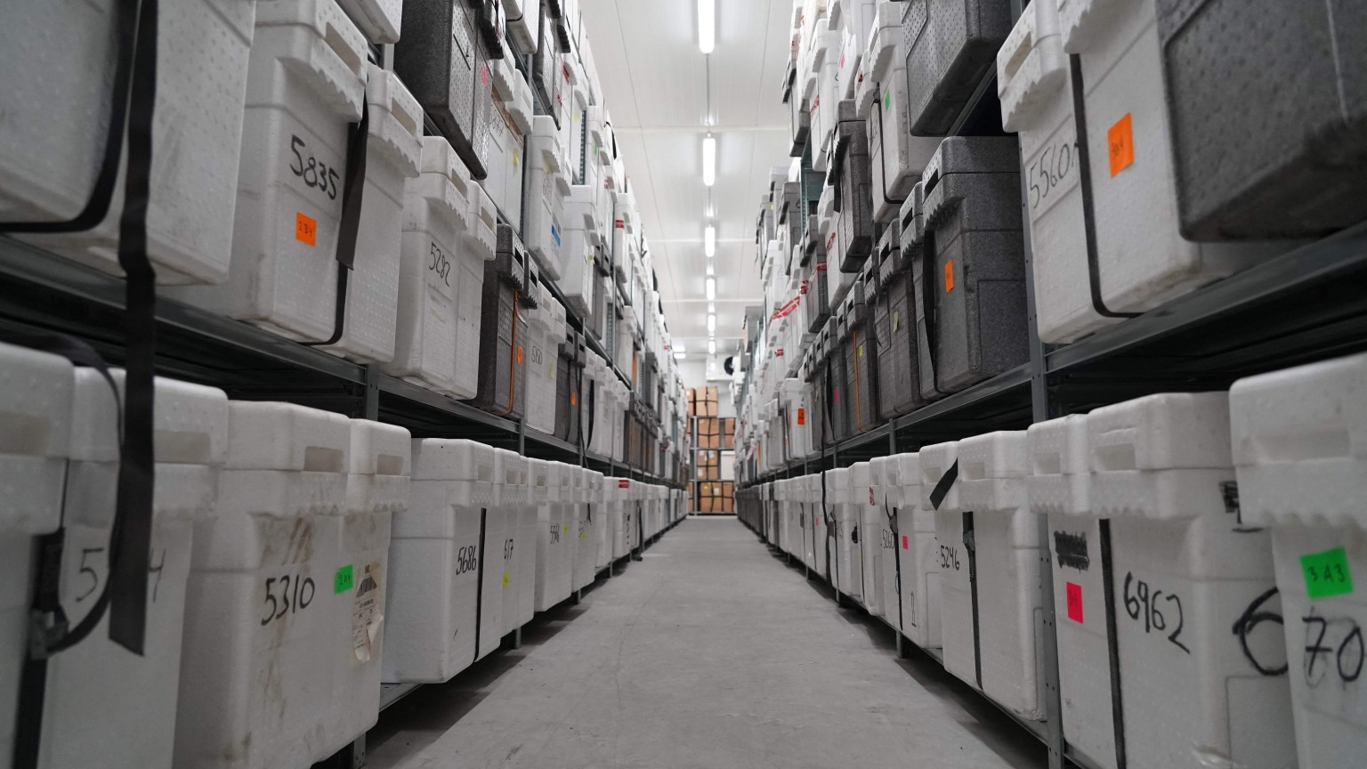 Frozen library of ancient ice tells tales of climate's past