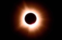 North America goes dark: captivating photos of the 2024 total solar eclipse