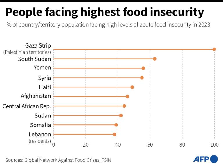 Nearly 282 million people faced acute hunger in 2023: UN-led report